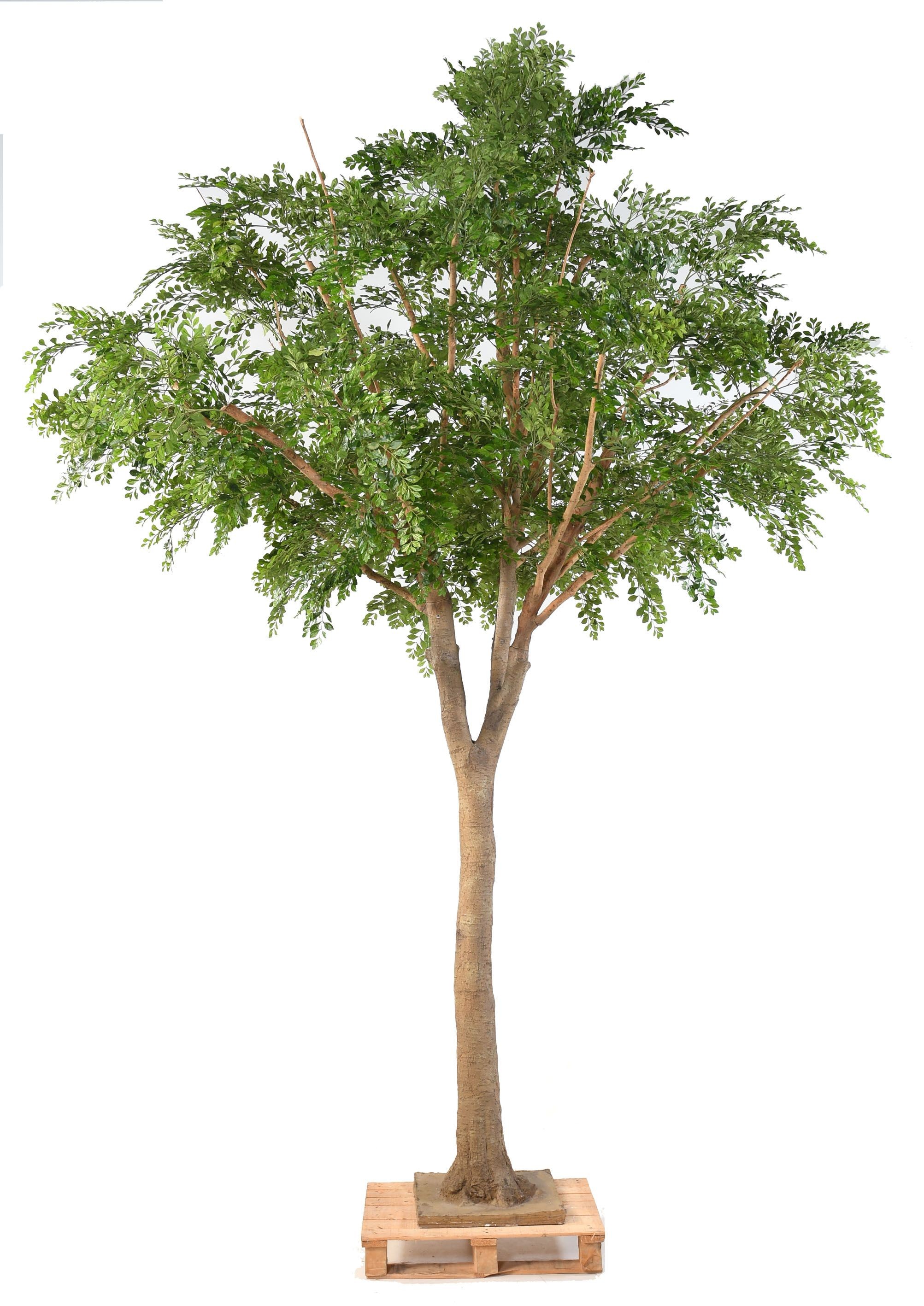 Artificial bucida green 360 cm