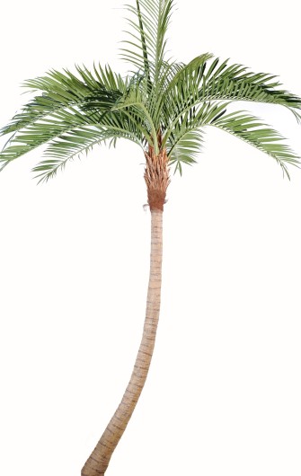 Green curved artificial coconut tree 270 cm